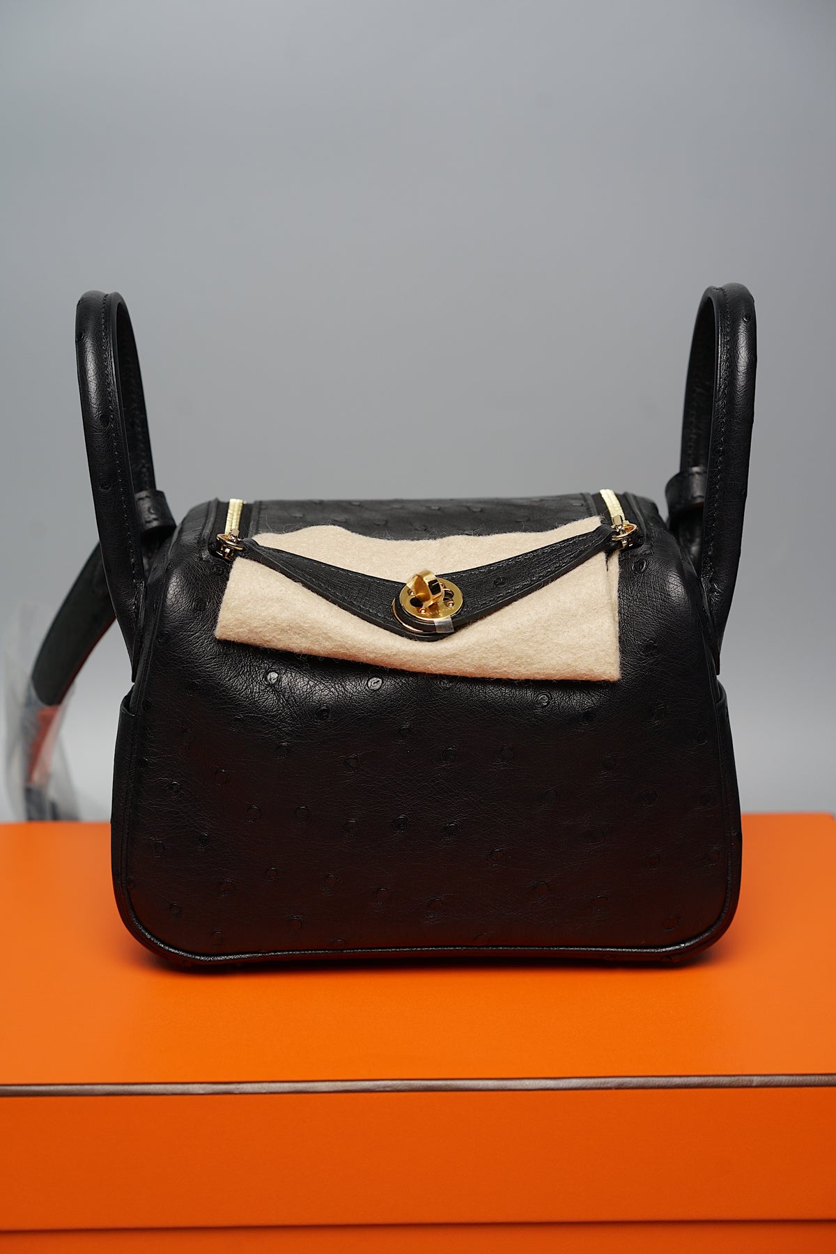 Hermes Mini Lindy in Noir Ostrich Ghw (Brand New)– orange porter