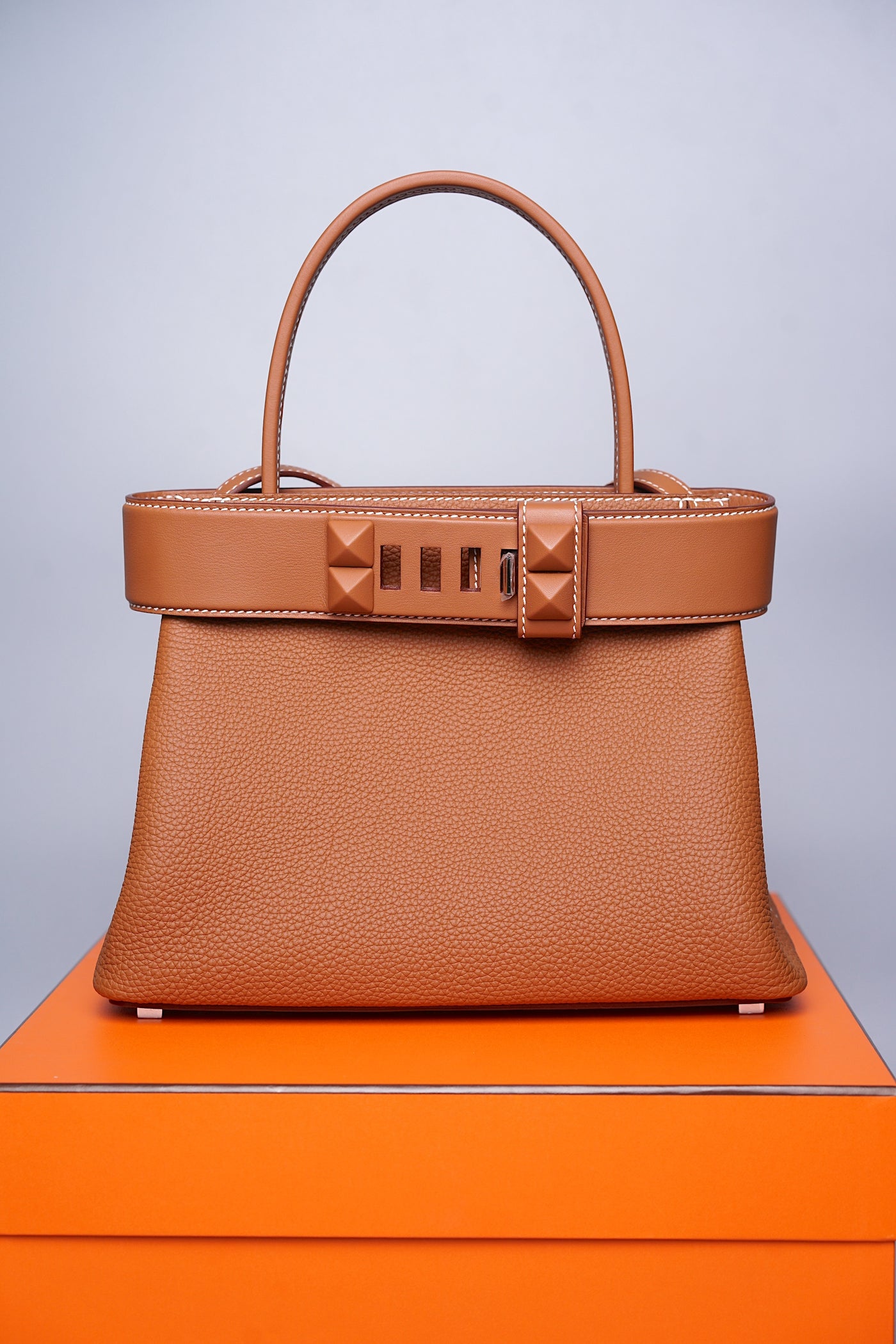Hermes Medor Bag in Gold Phw (Brand New)– ORANGEPORTER