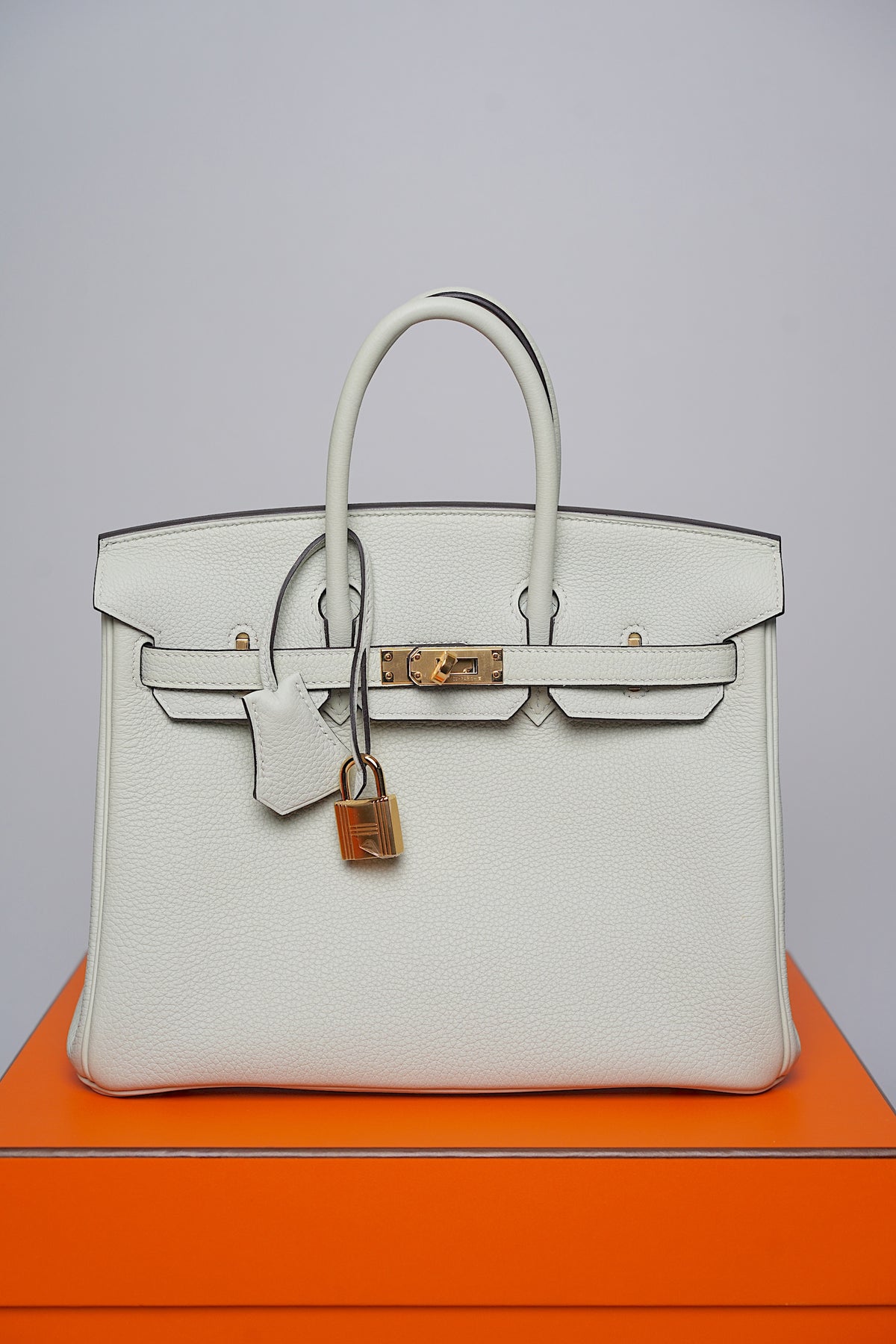 Hermes Birkin 25 Gris Neve Togo Ghw– orange porter