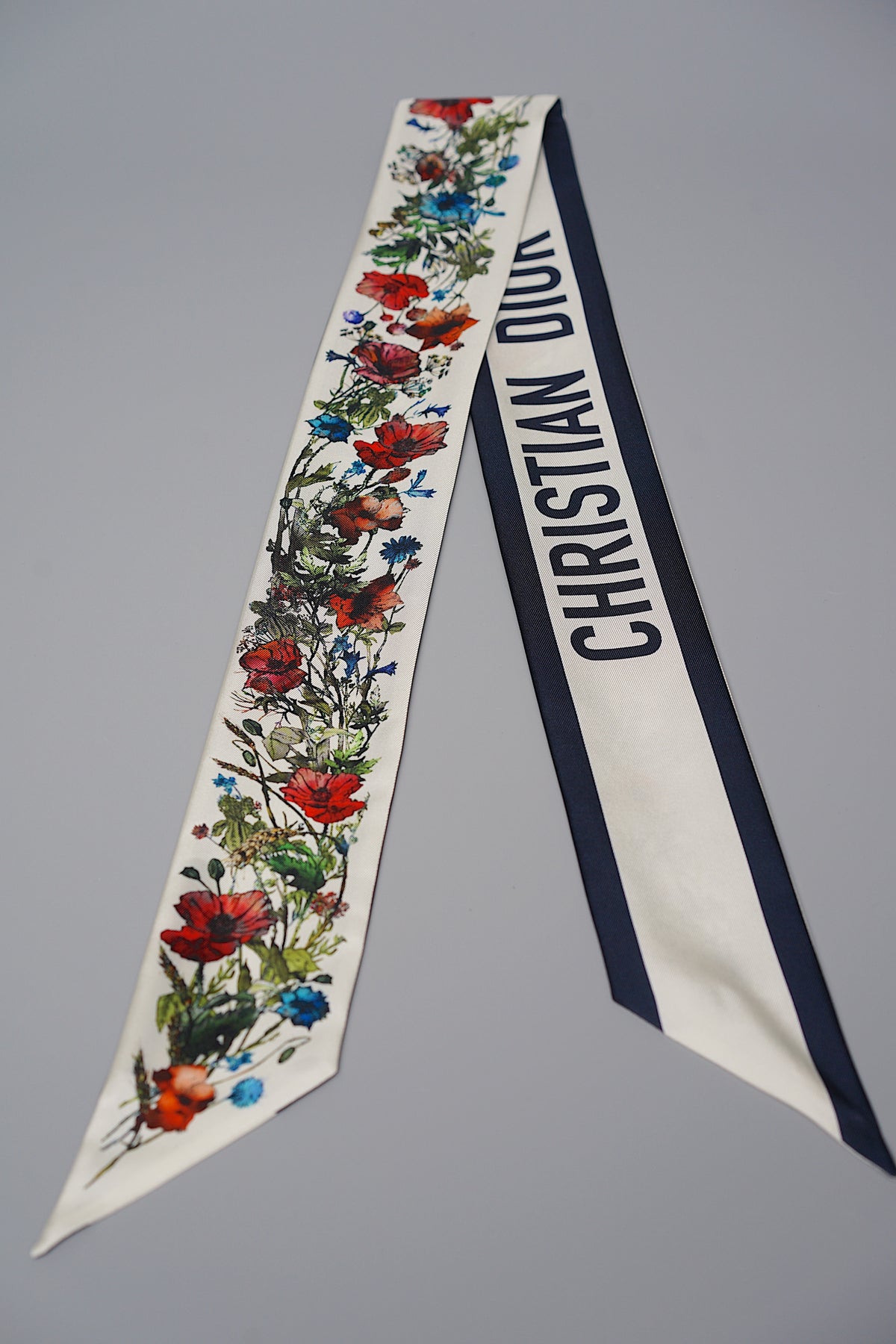 Dior Twilly (Brand New)– orangeporter